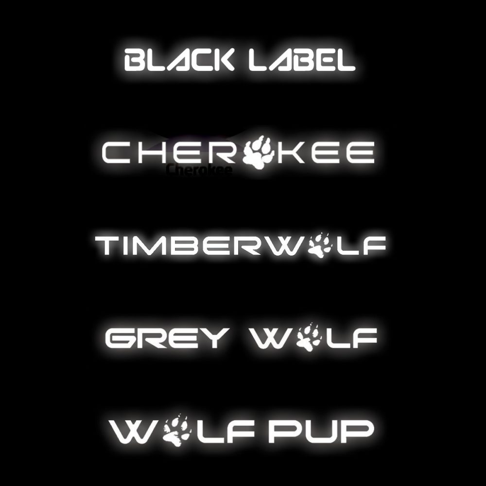 DRGL Series – Driven Electronics